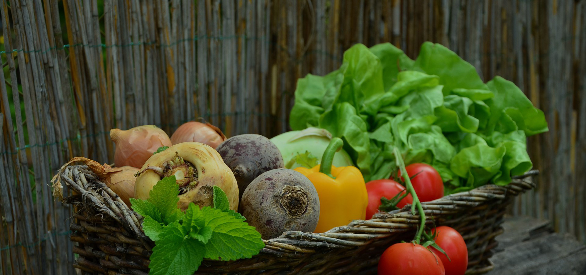 Agro Boga Utama – Distributor Makanan Terpercaya